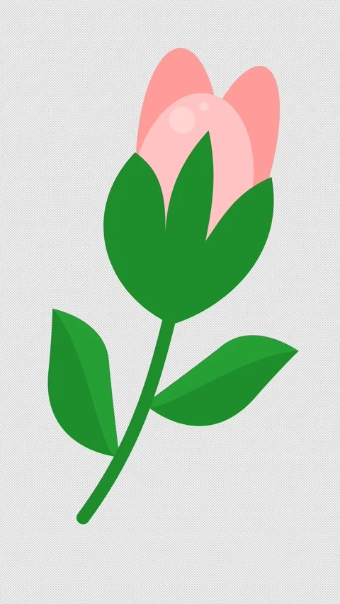 Onspring Icon Stock Videos – Royalty-Free HD & 4K Videos | Pond5