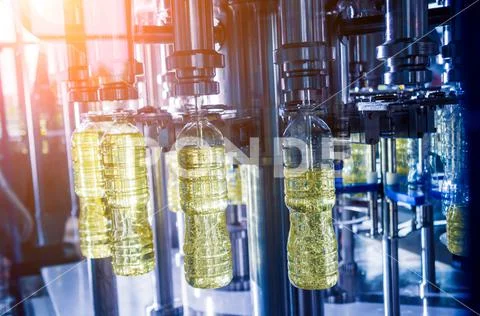 Bottling line of sunflower oil in bottles. Vegetable oil production ...