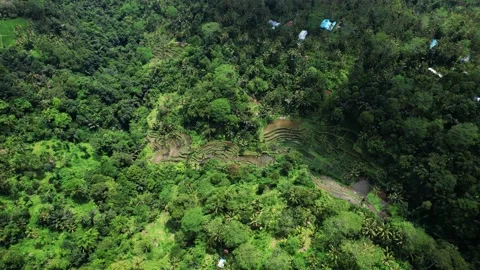 At bottom of big green overgrown ravine ... | Stock Video | Pond5