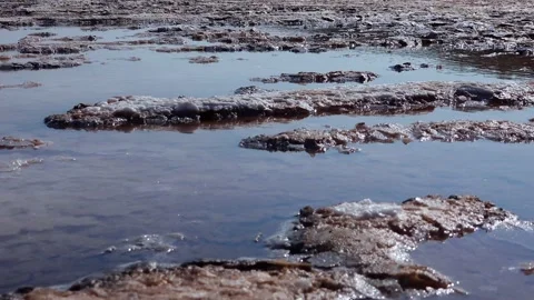 The bottom of a dying estuary, lake. Sel... | Stock Video | Pond5