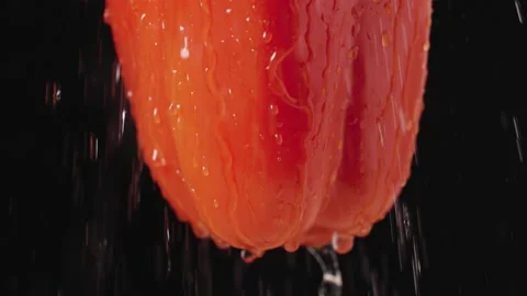 Bell Bottom Up Stock Videos – Royalty-Free HD & 4K Videos