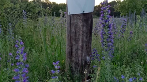 From bottom to top tilt of a german sign... | Stock Video | Pond5