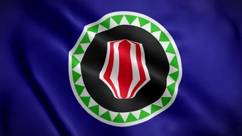 Bougainville flag background realistic w... | Stock Video | Pond5