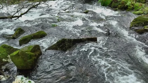 Stream River Rushing Stock Videos – Royalty-Free HD & 4K Videos