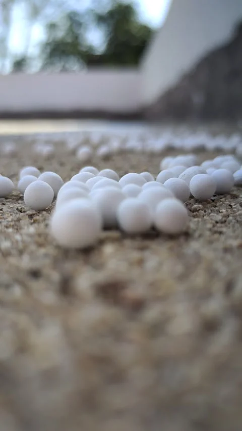 Bouncing Ball Stock Video Footage | Royalty Free Bouncing Ball Videos | Pond5