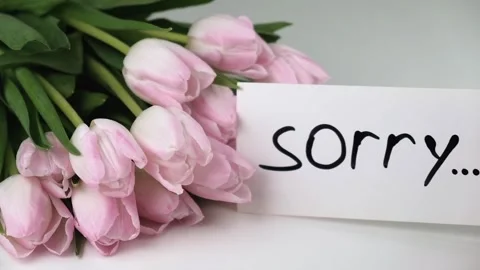 Apology Card Stock Videos – Royalty-Free HD & 4K Videos | Pond5