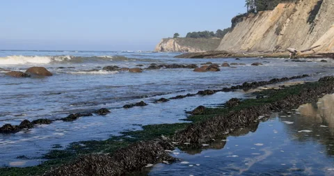 Bowling Ball beach rock cliff seaweed no... | Stock Video | Pond5