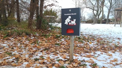 Pick Up Paets Stock Videos – Royalty-Free HD & 4K Videos