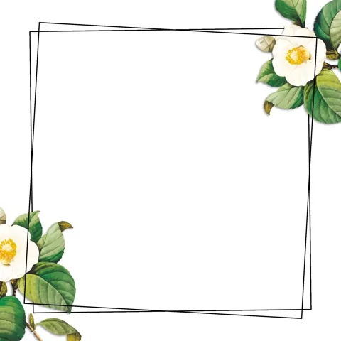 Boxed Floral Frame with Leaves and Flowe... | Stock Video | Pond5