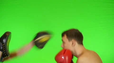 Boxer Knockout Stock Footage ~ Royalty Free Stock Videos | Page 9