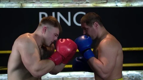 Boxer Knockout Stock Footage ~ Royalty Free Stock Videos | Pond5