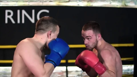 Boxer Knockout Stock Footage ~ Royalty Free Stock Videos | Pond5