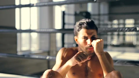 Boxer sitting on the floor at the boxing... | Stock Video | Pond5