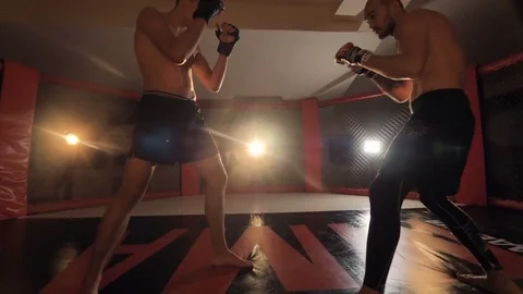 Boxer Knockout Stock Footage ~ Royalty Free Stock Videos | Pond5