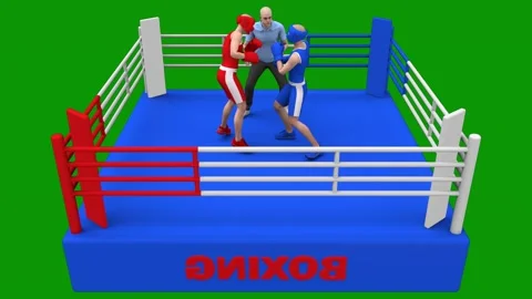 Image From Fighting Stock Videos – Royalty-Free HD & 4K Videos