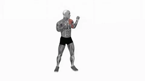 Boxing Jab Animation Stock Footage ~ Royalty Free Stock Videos | Pond5