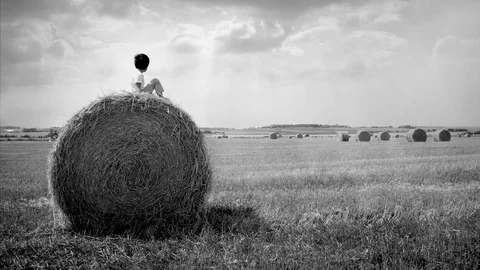 Bail Boy Stock Videos – Royalty-Free HD & 4K Videos