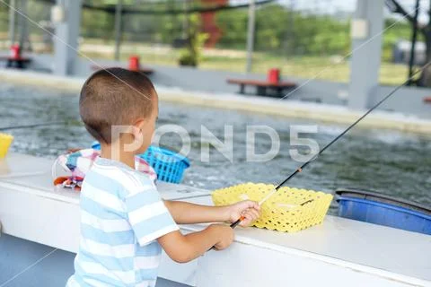 Boy fishing shrimp in pond Stock Photo ~ Image #252810640
