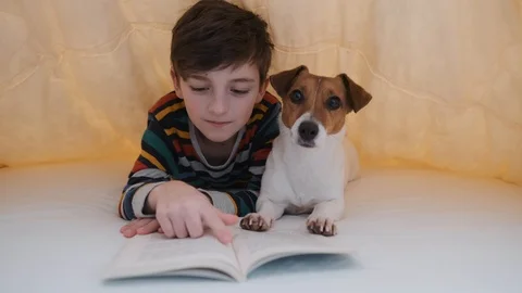 Boy his dog of breed Jack Russell are l... | Stock Video | Pond5