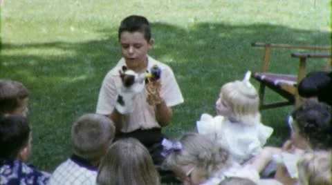 Child Play Movie Stock Videos – Royalty-Free HD & 4K Videos