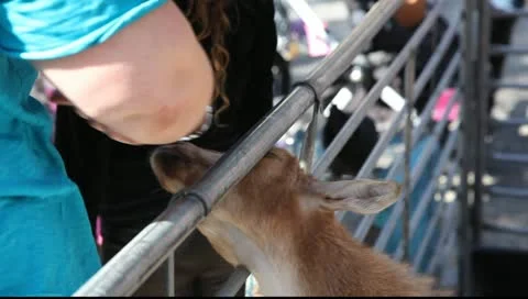 Boy With Animals Stock Videos – Royalty-Free HD & 4K Videos | Pond5