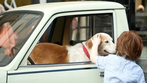 Say This Best Stock Videos – Royalty-Free HD & 4K Videos