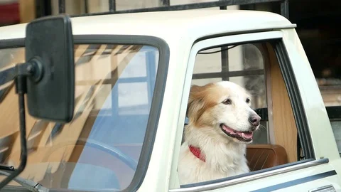 Say This Best Stock Videos – Royalty-Free HD & 4K Videos