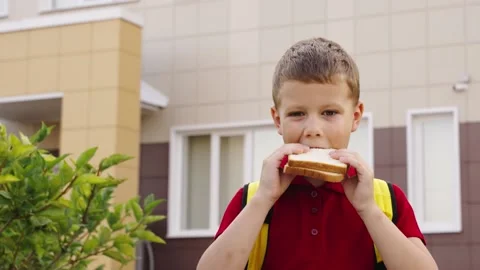 boy schoolboy eats sandwich school yard.... | Stock Video | Pond5