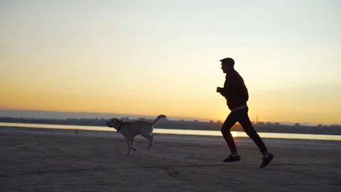 Labrador Silhouette Stock Footage ~ Royalty Free Stock Videos | Pond5