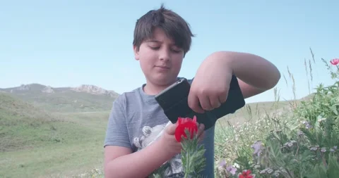 Backdrop Picture Stock Videos – Royalty-Free HD & 4K Videos