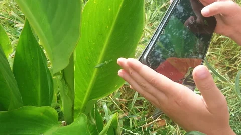 Naturalist Photo Stock Videos – Royalty-Free HD & 4K Videos | Pond5