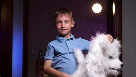 Boy and Wolf Stock Videos – Royalty-Free HD & 4K Videos