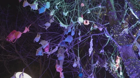Bra hanging from the tree illuminated by... | Stock Video | Pond5