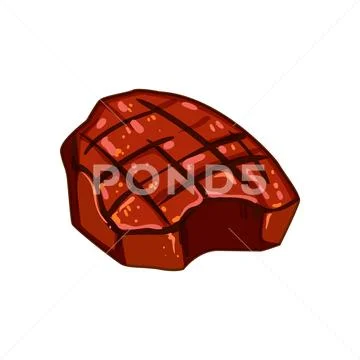 Braai steak grill cartoon vector illustration Illustration #274738704