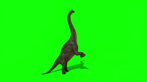 Brachiosaurus Dinosaur full body view re... | Stock Video | Pond5