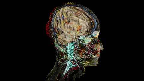 Brain Activity Scan | Stock Video | Pond5