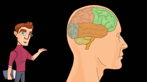 Brain Anatomy - Vector Cartoon - Black ... | Stock Video | Pond5