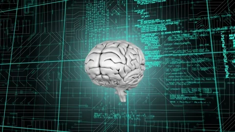Brain and a digital circuit with program... | Stock Video | Pond5