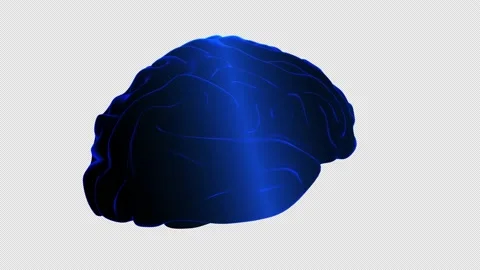 Brain animation, Transparent Alpha video... | Stock Video | Pond5