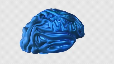 Brain animation, Transparent Alpha video... | Stock Video | Pond5