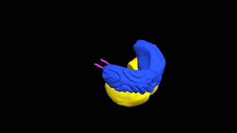 Brain assembly, 3D animation | Stock Video | Pond5