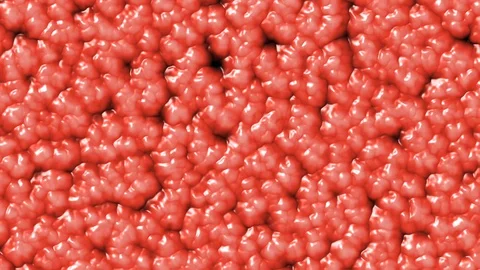 brain cell surface texture background | Stock Video | Pond5