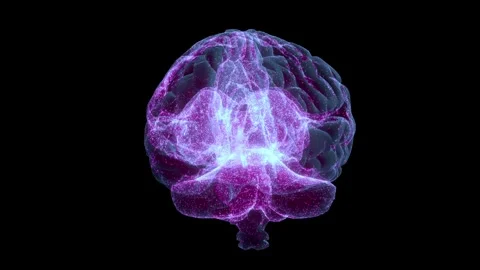 Brain digital and moving particles insid... | Stock Video | Pond5