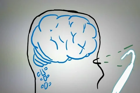 Brain - Hand drawn - Animation - outline... | Stock Video | Pond5