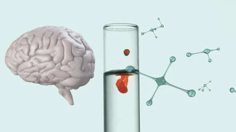 Brain with molecular structures animatio... | Stock Video | Pond5