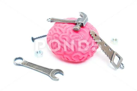 Brain Repair: Human Brain Model and Miniature Hand Tools ~ Premium ...