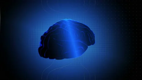 Brain rotating in dataflow. Looped abstr... | Stock Video | Pond5