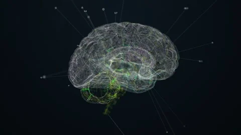 Brain Scanning Interface Animation. Medi... | Stock Video | Pond5