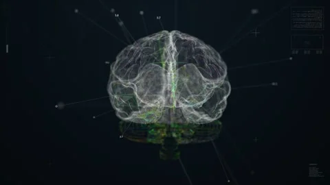 Brain Scanning Interface Animation. Medi... | Stock Video | Pond5