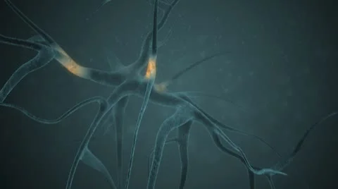 Signlas and Stock Videos – Royalty-Free HD & 4K Videos